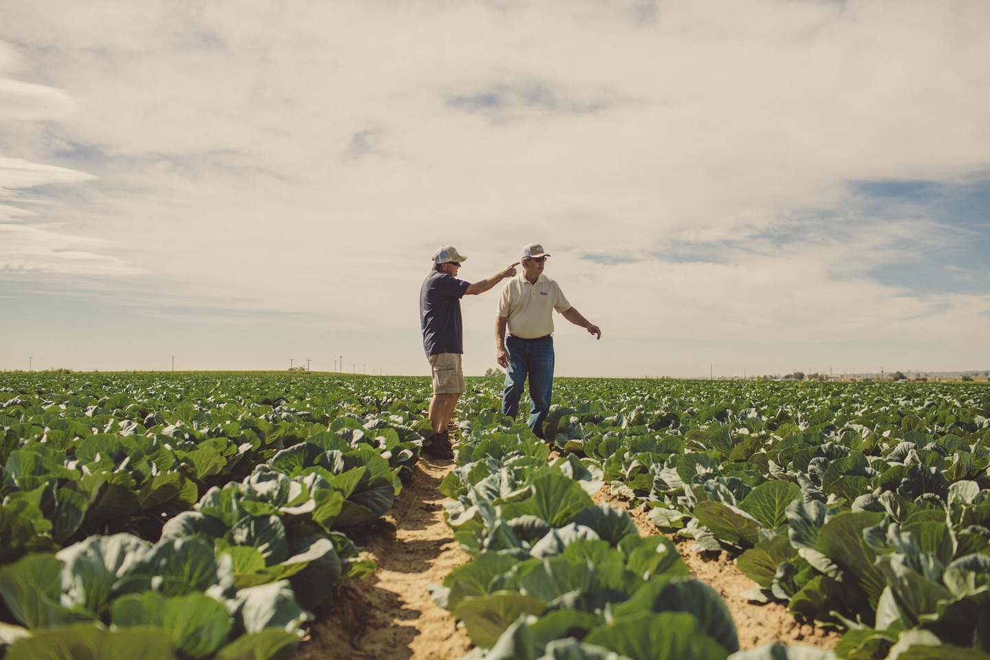 Build Soil Quality with Confidence Using Stabilized Enzymes - Helena ...