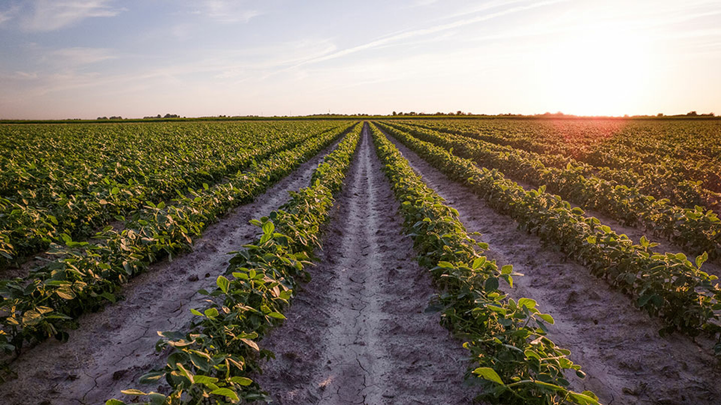 Inside Every Successful Tank Mix, There's An Adjuvant - Helena Agri ...