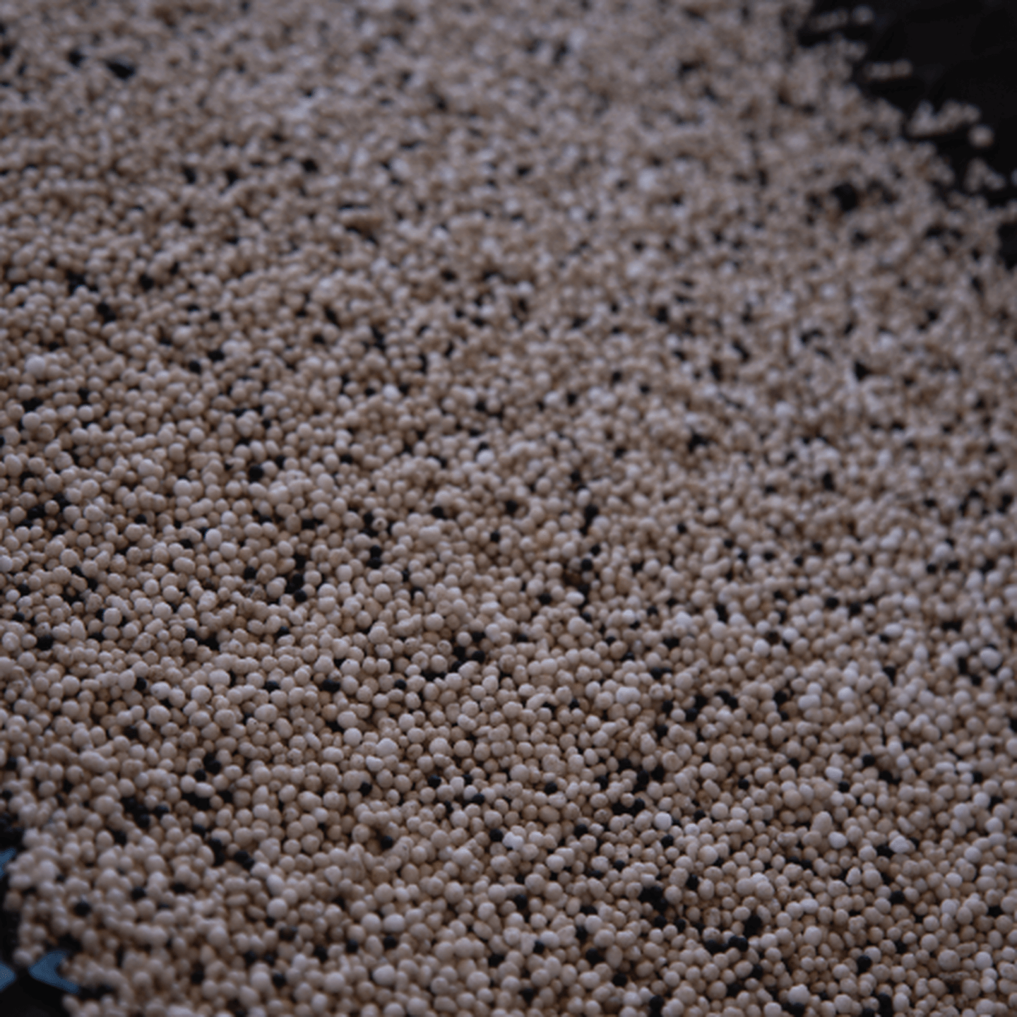 Dry Strip-till Applications Rising in Popularity Across the High Plains ...