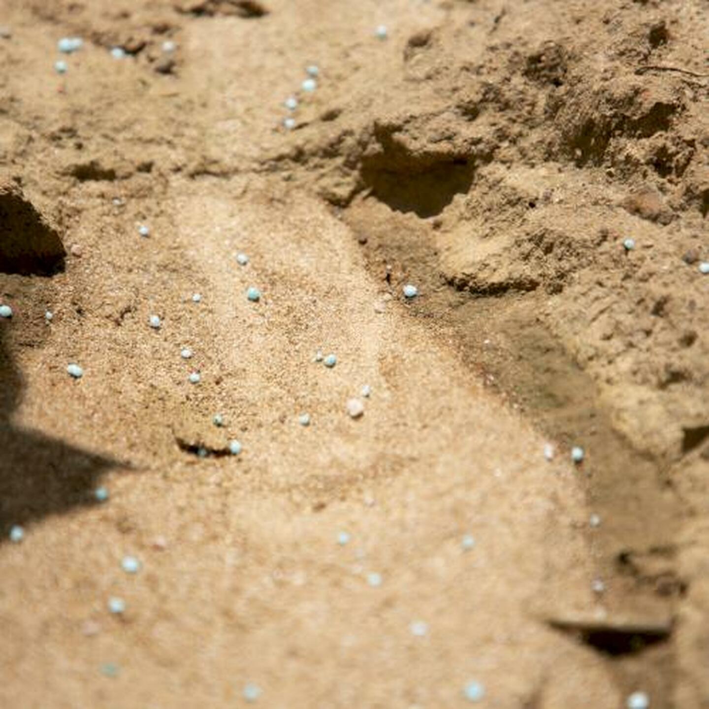 Fertilizer is a vital component for both food and global security ...