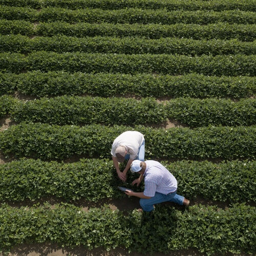 The Future of Ag - Helena Agri-Enterprises