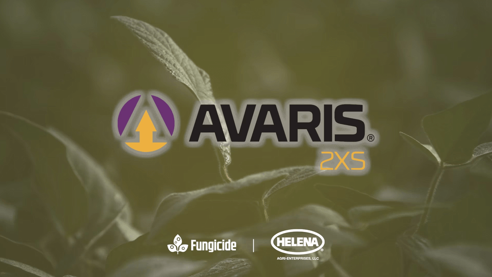 Avaris 2XS - Helena Agri-Enterprises